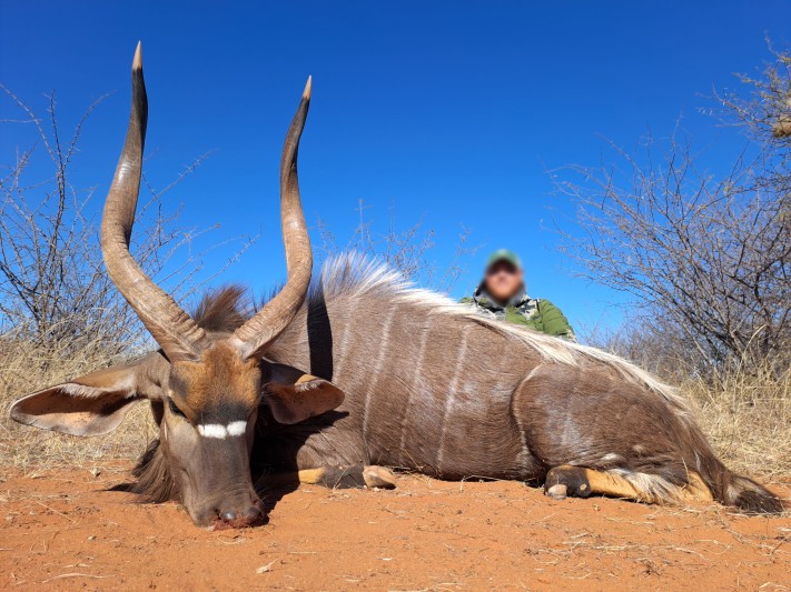 South Africa Hunts - Baboon, Blesbuck, Buffalo, Bushbuck, Bushpig ...